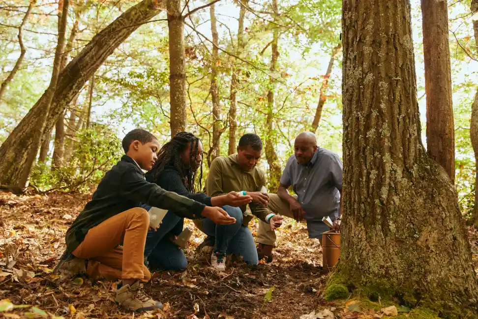 Inurnment vs Interment: 5 Insights | Better Place Forests