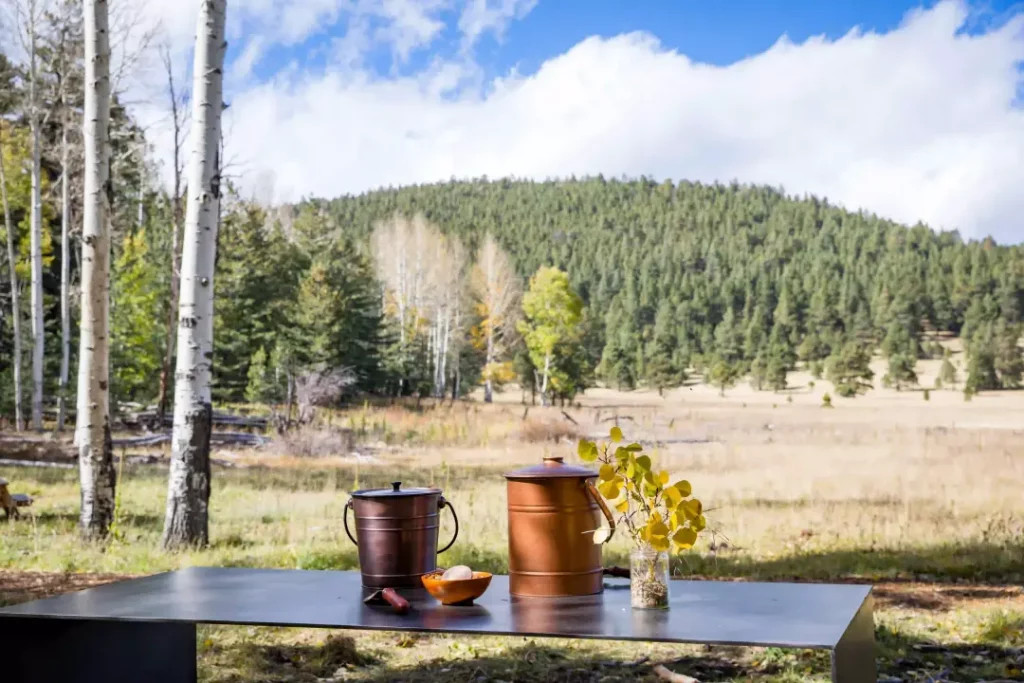 10 Meaningful Options for Cremation Ashes