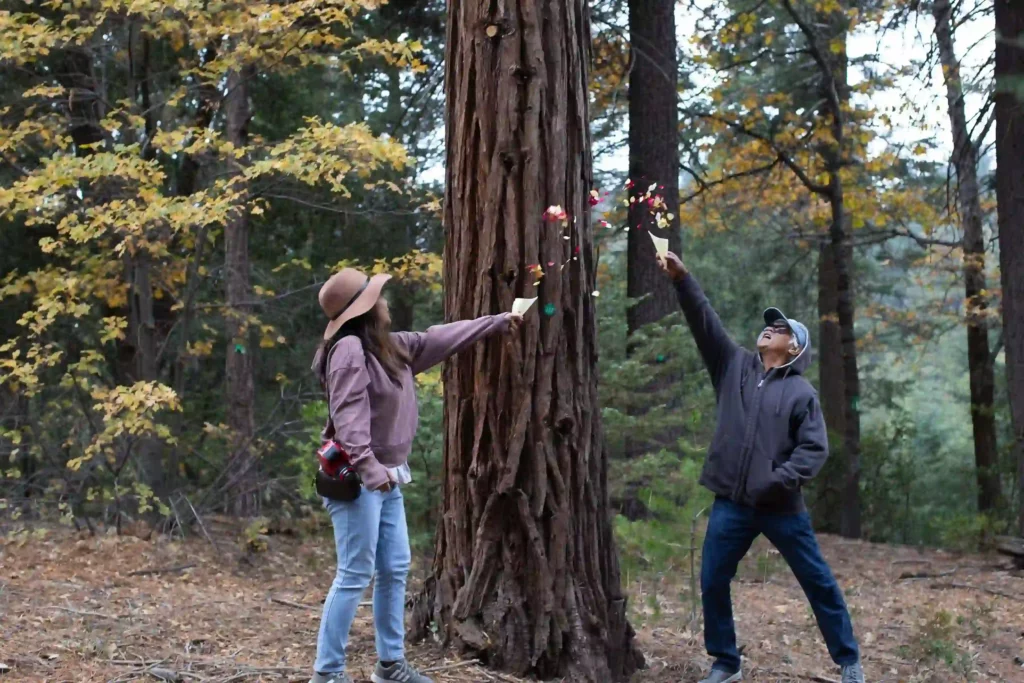 10 Meaningful Options for Cremation Ashes