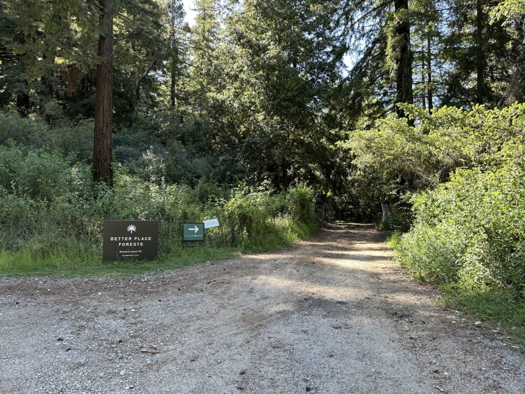 Driving to Reach Santa Cruz Forest - Better Place Forests