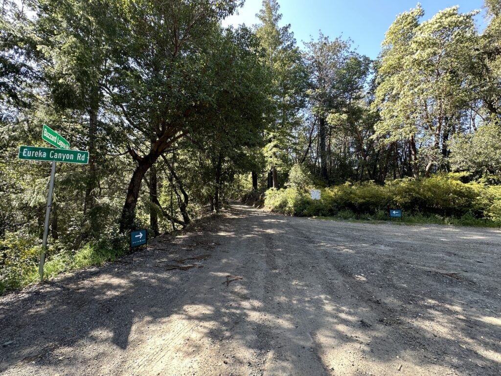 Driving to Reach Santa Cruz Forest - Better Place Forests