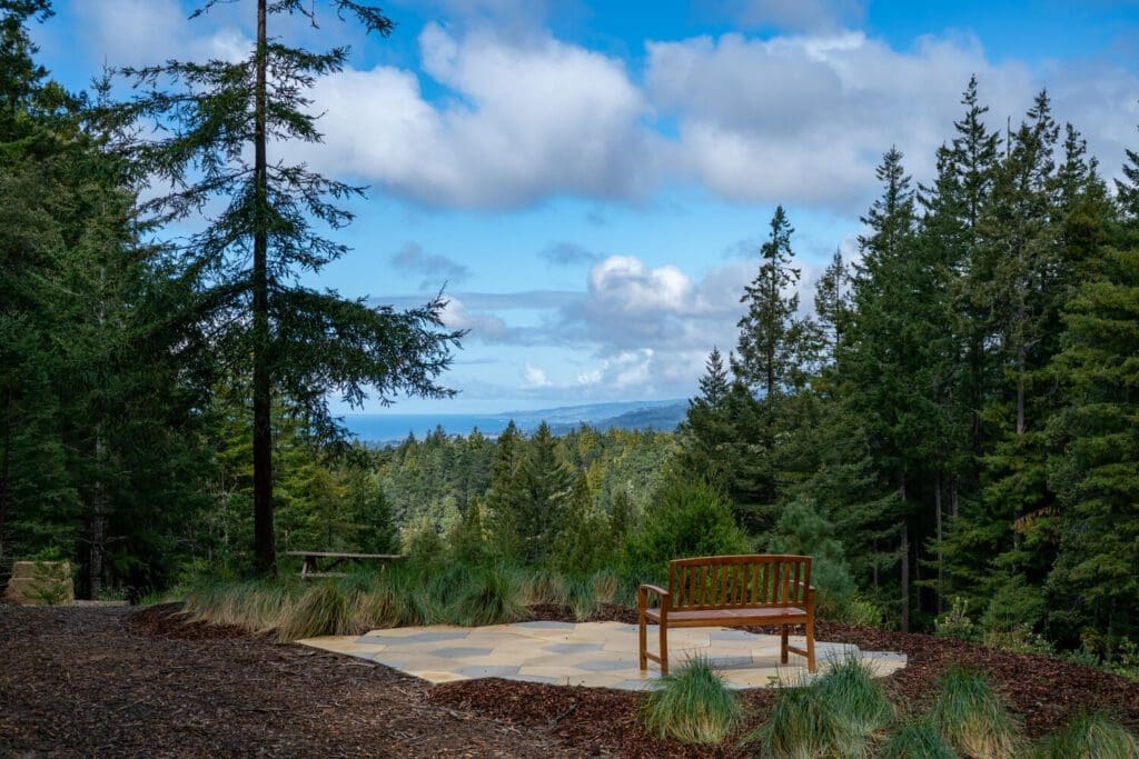 Public vs. Private Memorials - Better Place Forests