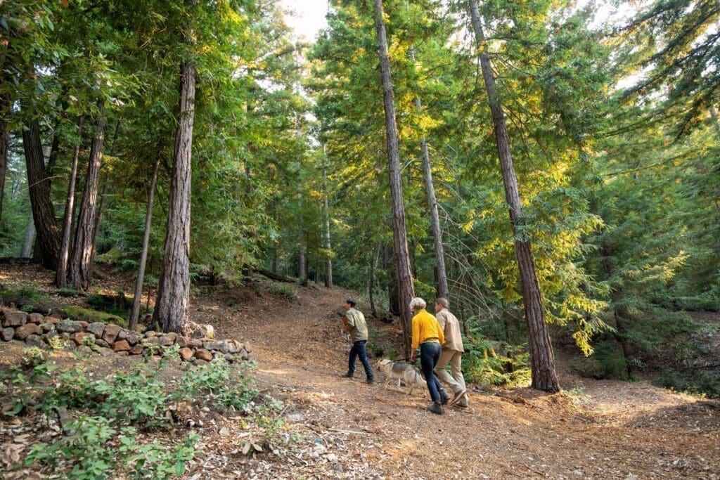 Driving to Reach Santa Cruz Forest - Better Place Forests