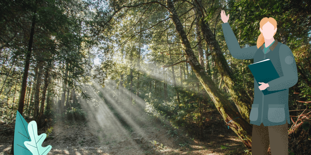 Events - Better Place Forests