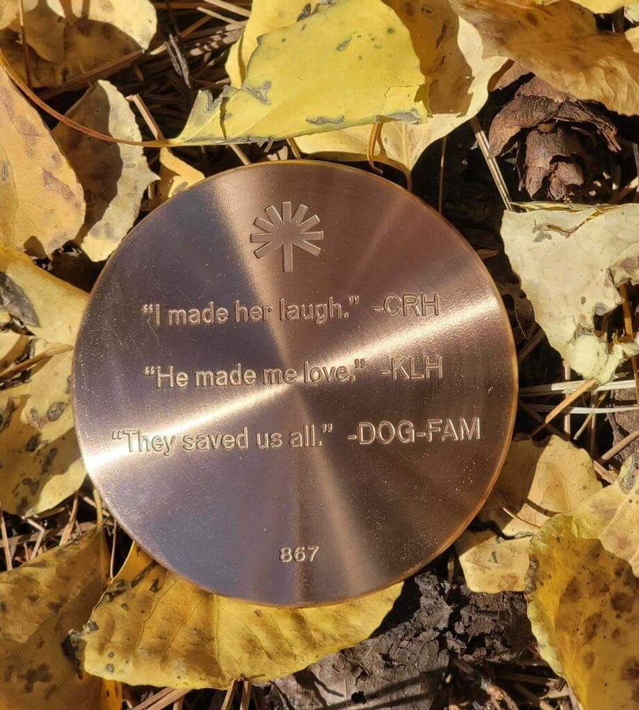 An everlasting love in Flagstaff Memorial Forest